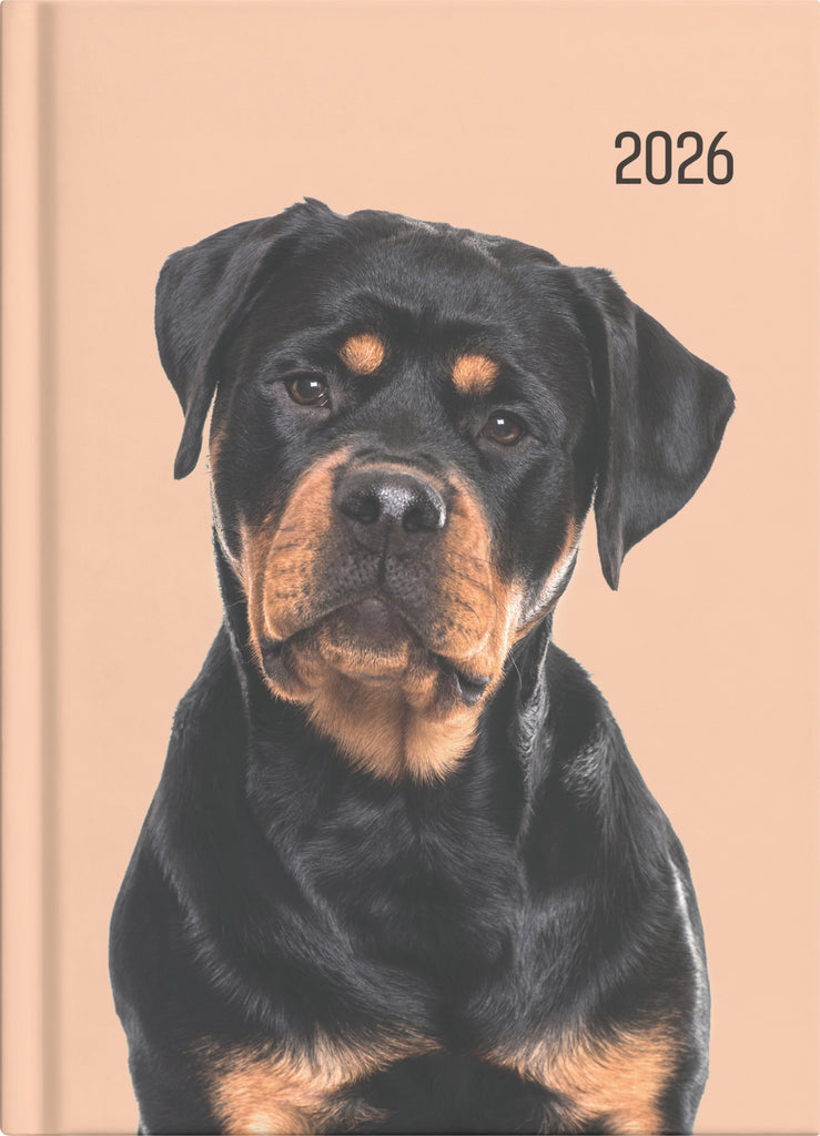 2026 Collins A53 Diary Cats & Dogs Diary, Week to View, 148mm x 210mm ...
