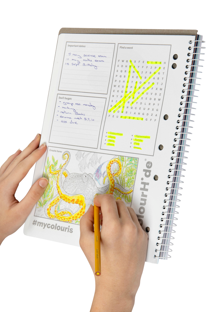 Colourhide A4 5 Subject Book, 250 pages | Colourhide — Discount Office