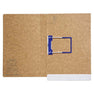 Codafile Standard File with Fitted Codaclip x 100 | Codafile — Discount ...