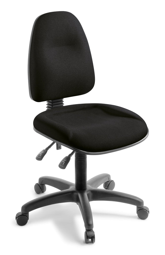 Eden Spectrum 200-2-lever Highback Ergonomic Office Chair with Long an ...