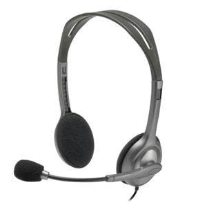 Logitech H110 Stereo Headset with Noise-Cancelling Microphone ...