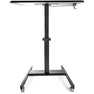 Mobile Standing Desk, Portable Sit Stand Ergonomic Height Adjustable C ...
