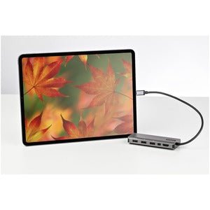 StarTech.com Docking Station - for Notebook/Tablet/Workstation/Monitor ...