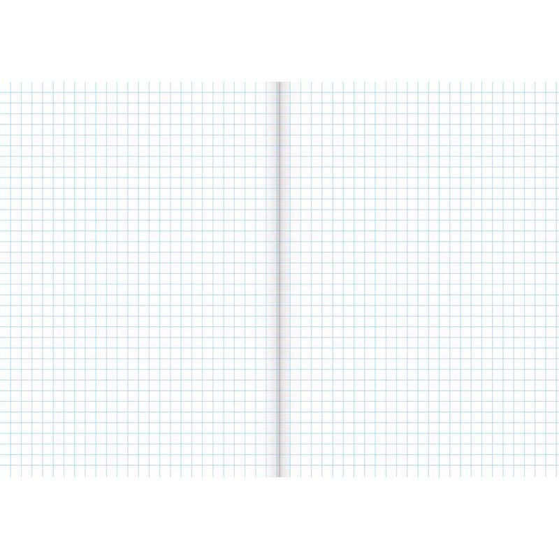 Warwick A4 Quad Book | Exercise Books — Discount Office